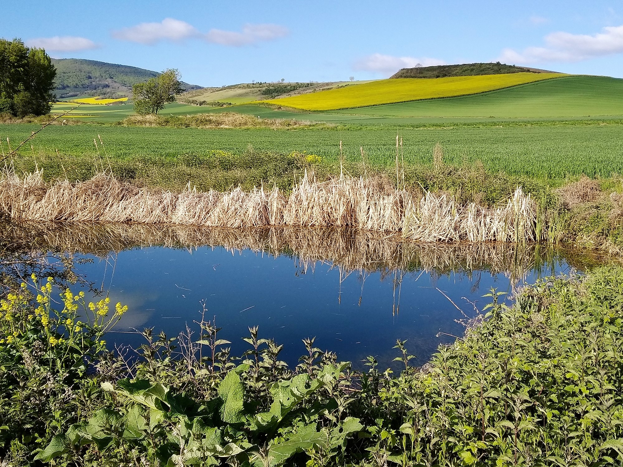 My personal grounding routine for anxiety - Jane Clements Life Coach